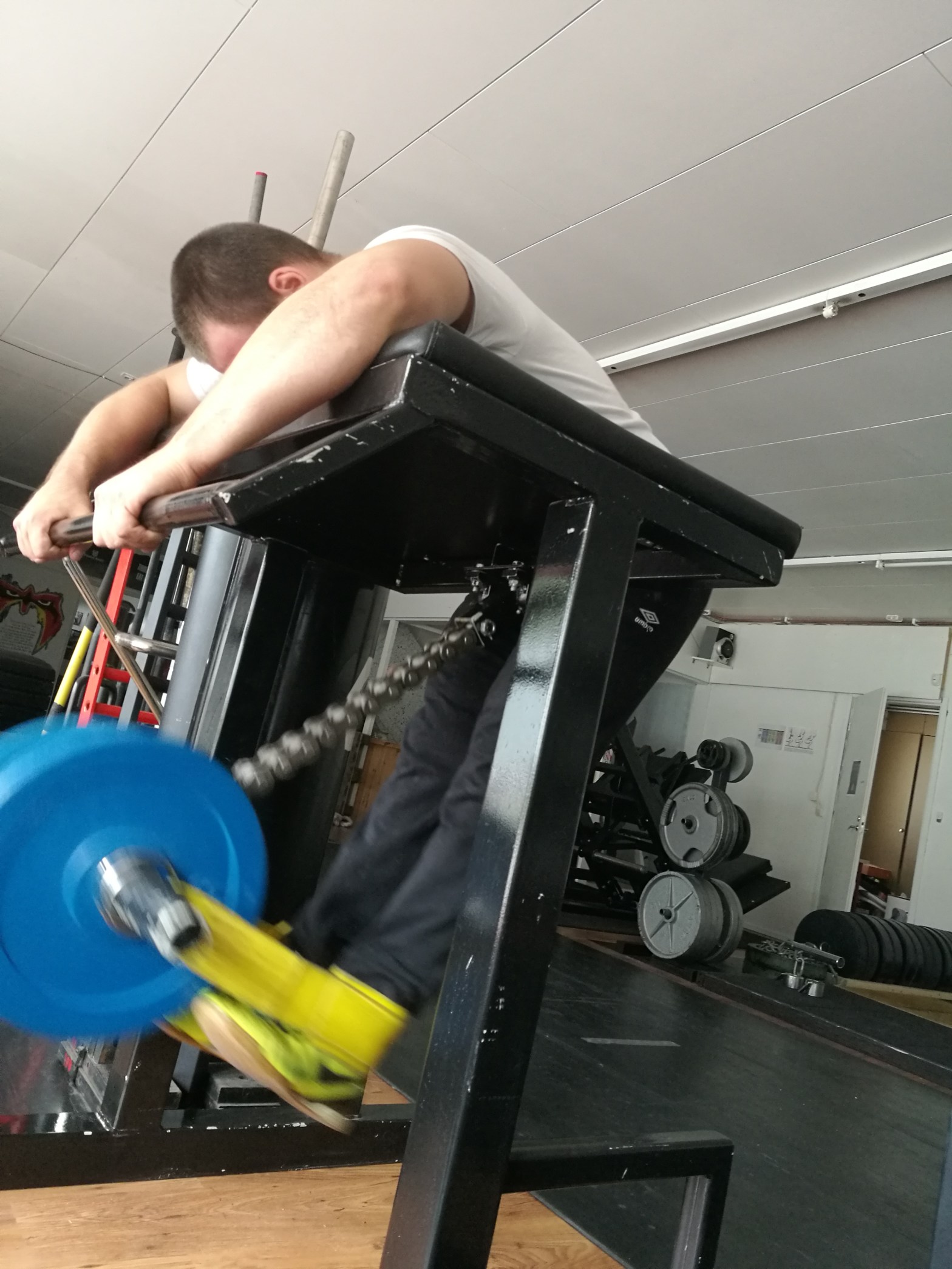 Mikä ihmeen reverse hyper?